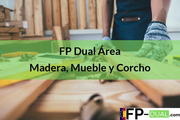 FP Dual En El Área De Madera, Mueble Y Corcho - 2026