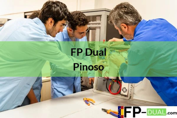 FP Dual En Pinoso | Información 2025